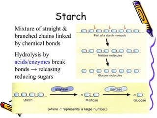 Chapter 4 Nutrients Lesson 1 - Carbohydrates | PPT