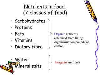 Chapter 4 Nutrients Lesson 1 - Carbohydrates | PPT