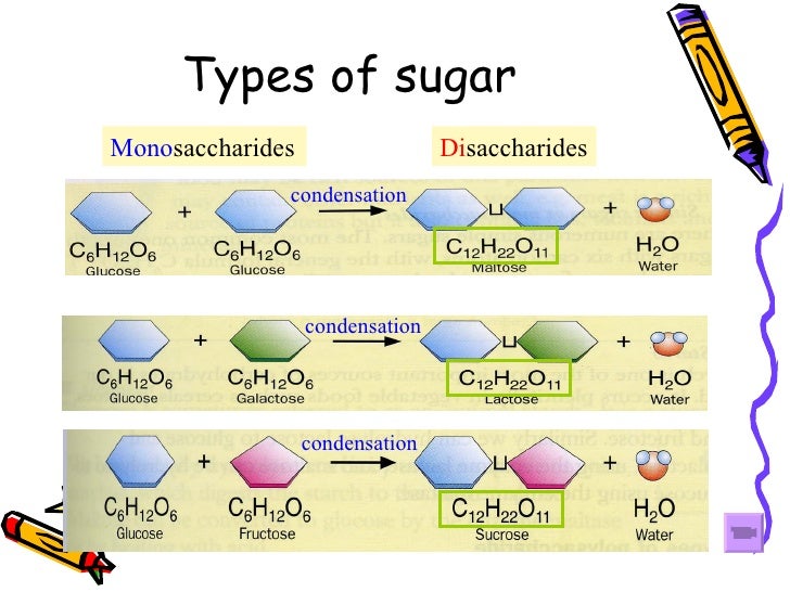 Chapter 4 Nutrients Lesson 1 - Carbohydrates