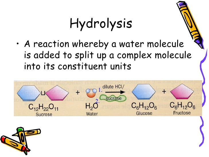 Chapter 4 Nutrients Lesson 1 - Carbohydrates