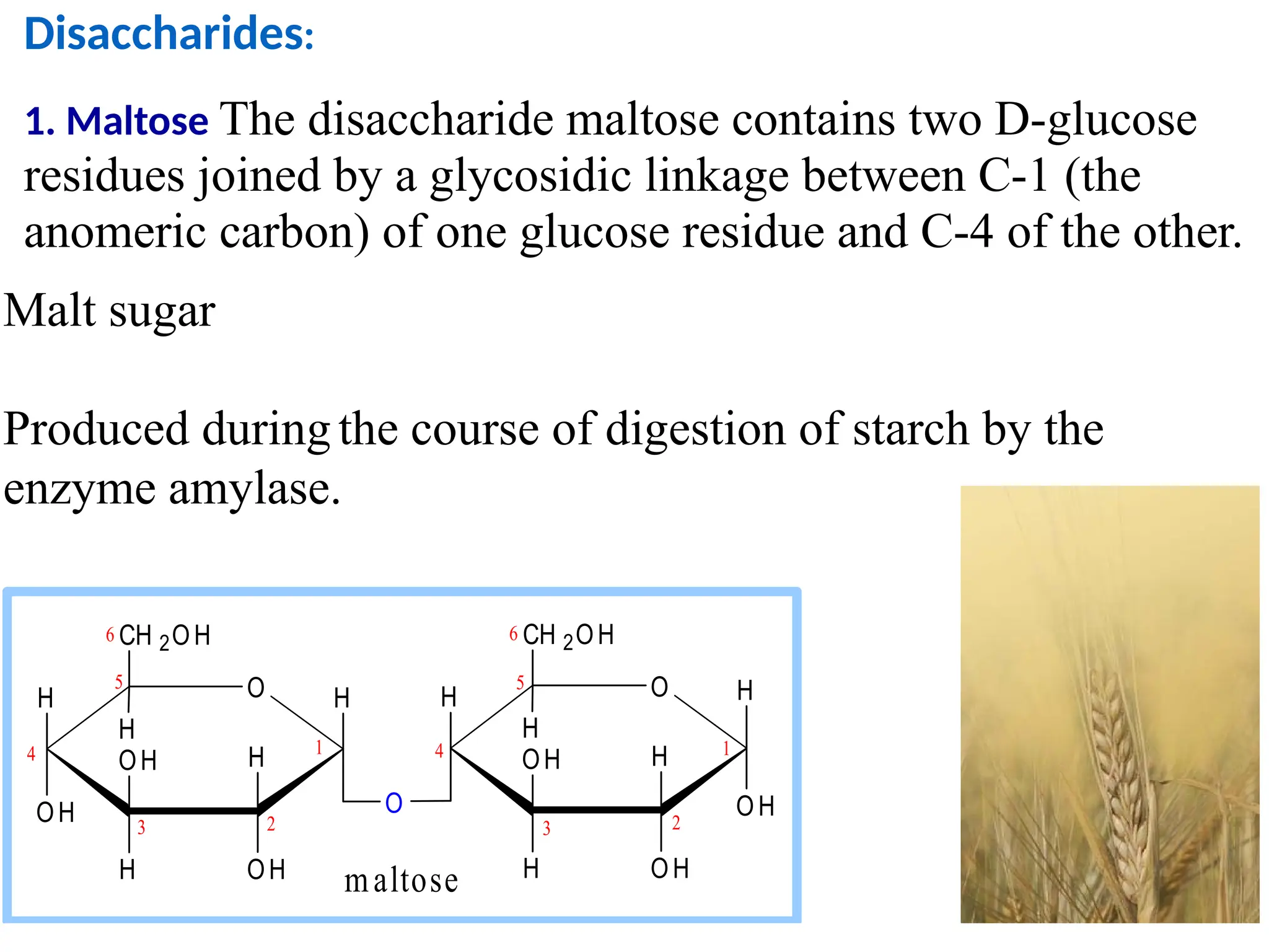 1 Carbohydrates.pptxxxxxxxxxxxxxxxxxxxxx | PPTX