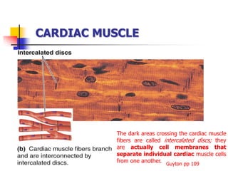 cardiac.ppt