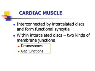 cardiac.ppt