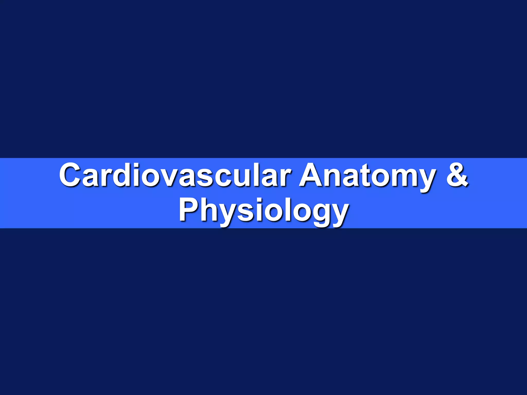 1 Cardiovascular Anatomy & Physiology.ppt