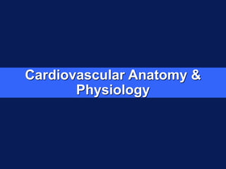 1 Cardiovascular Anatomy & Physiology.ppt