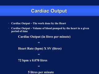 1 Cardiovascular Anatomy & Physiology.ppt