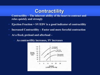 1 Cardiovascular Anatomy & Physiology.ppt