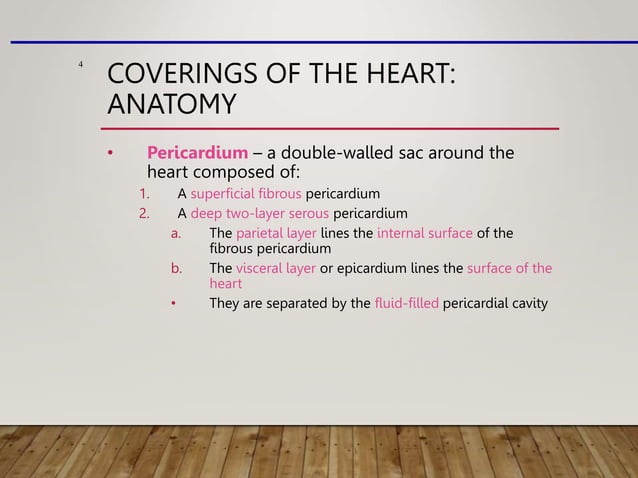 1 CARDIOVASCULAR SYSTEM.ppt