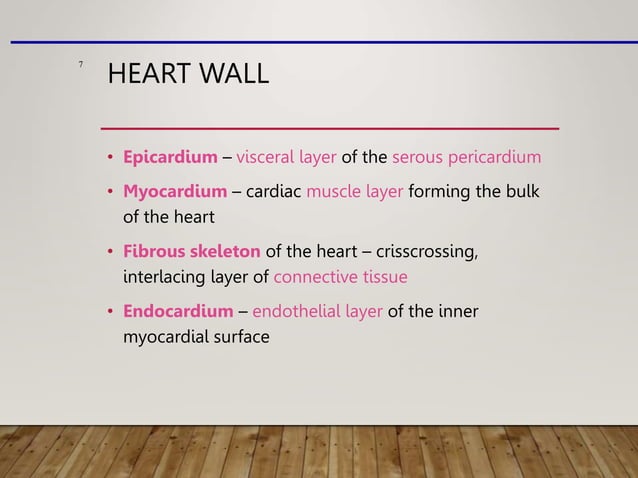 1 CARDIOVASCULAR SYSTEM.ppt
