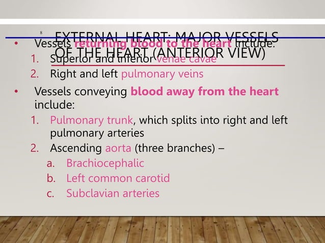 1 CARDIOVASCULAR SYSTEM.ppt