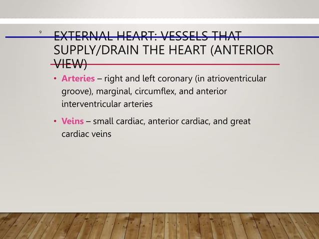 1 CARDIOVASCULAR SYSTEM.ppt