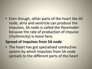 1 CARDIOVASCULAR SYSTEM - INTRO, PROPERTIES ,CARDIAC CYC.pdf