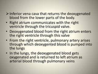 1 CARDIOVASCULAR SYSTEM - INTRO, PROPERTIES ,CARDIAC CYC.pdf