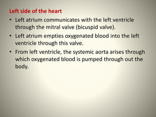 1 CARDIOVASCULAR SYSTEM - INTRO, PROPERTIES ,CARDIAC CYC.pdf