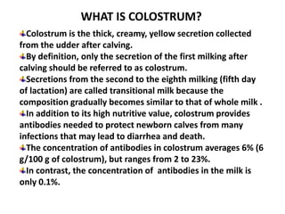 care of calf and cattle | PPTX