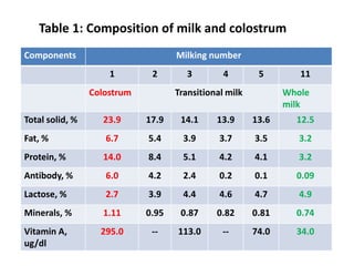 care of calf and cattle | PPTX