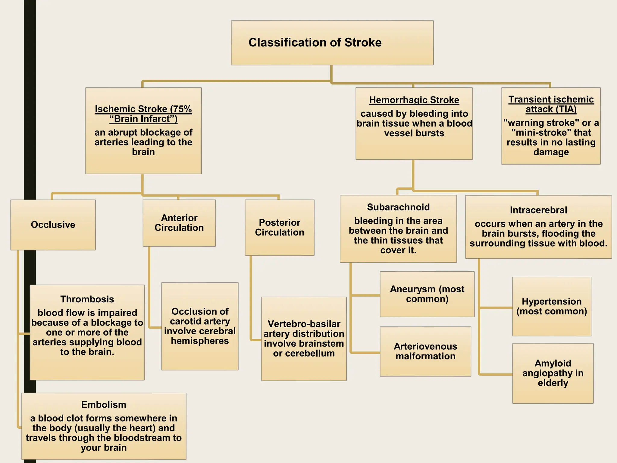 1 Causes of Acquired Language Disorders.pptx