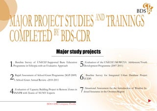 BDS Center for Development Research Company Profile | PPT