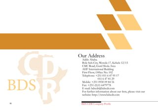 BDS Center for Development Research Company Profile | PPT