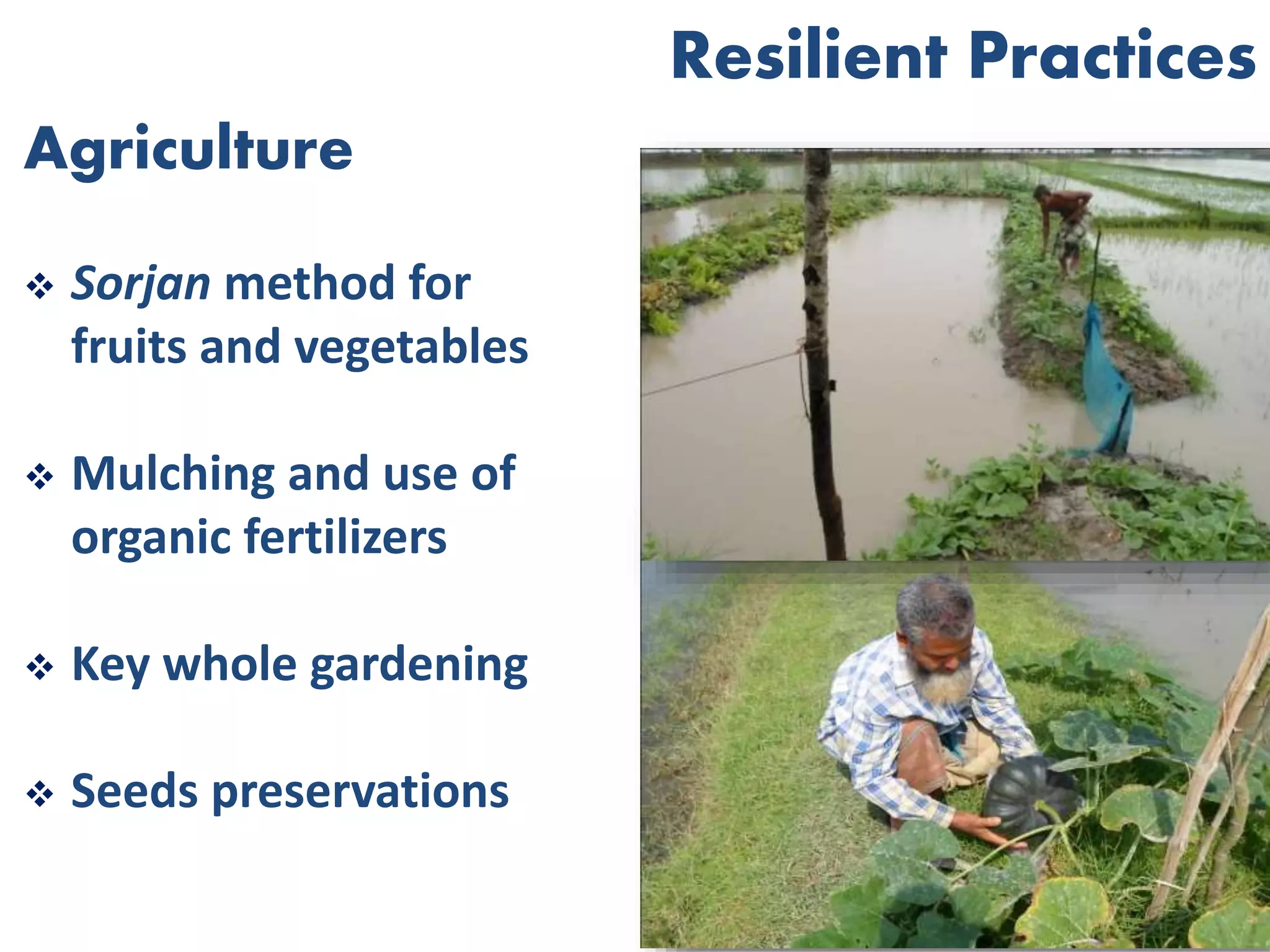 Resilient Livelihoods Pres_Caritas | PPT