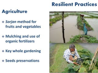 Resilient Livelihoods Pres_Caritas | PPT