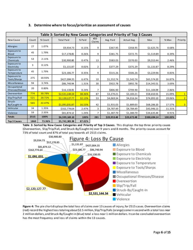 Loss Run Data Analysis-Executive Summary for Todd Loushine Safety 483 ...