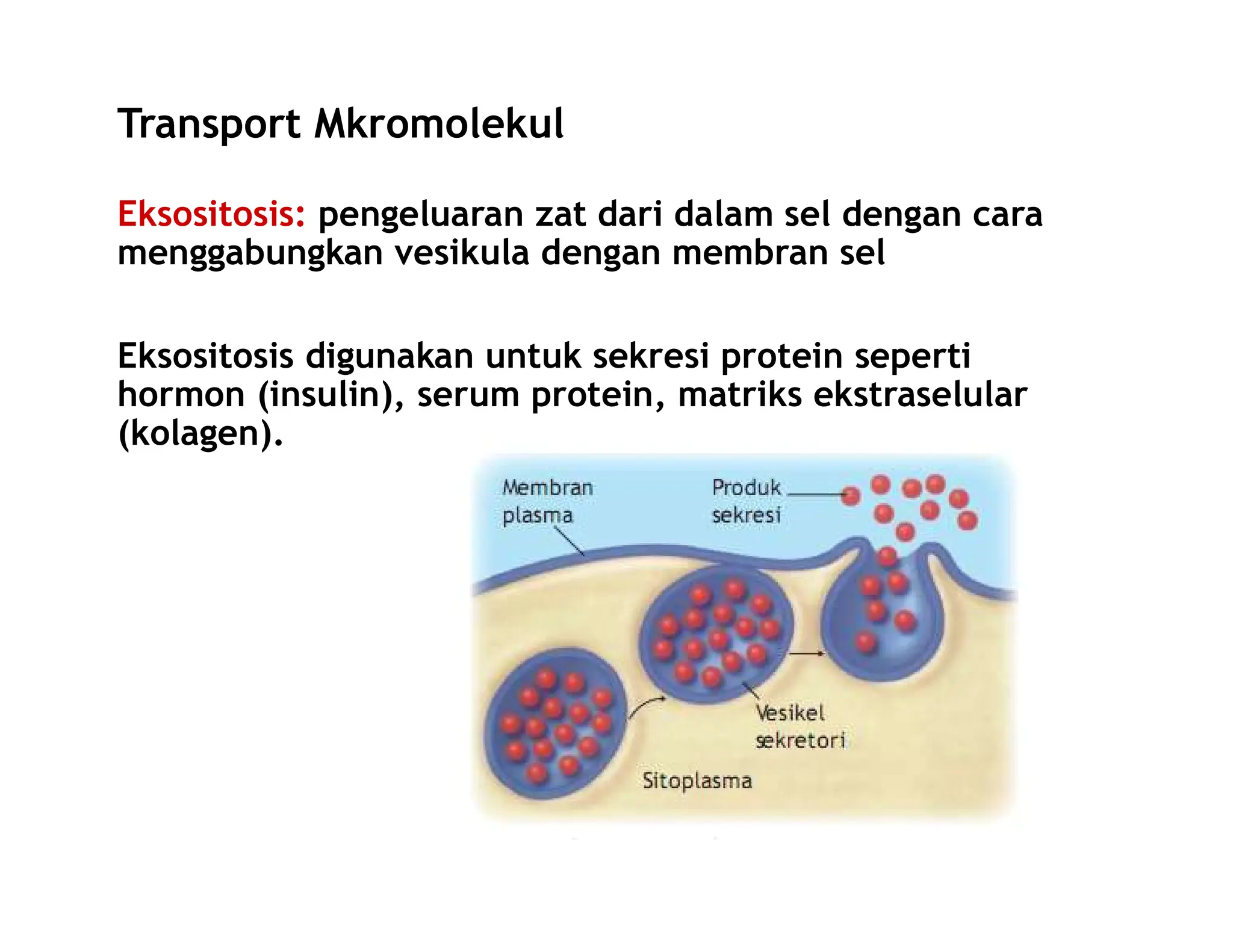 Biologi Molekuler sel, struktur, fungsi dan materi | PDF