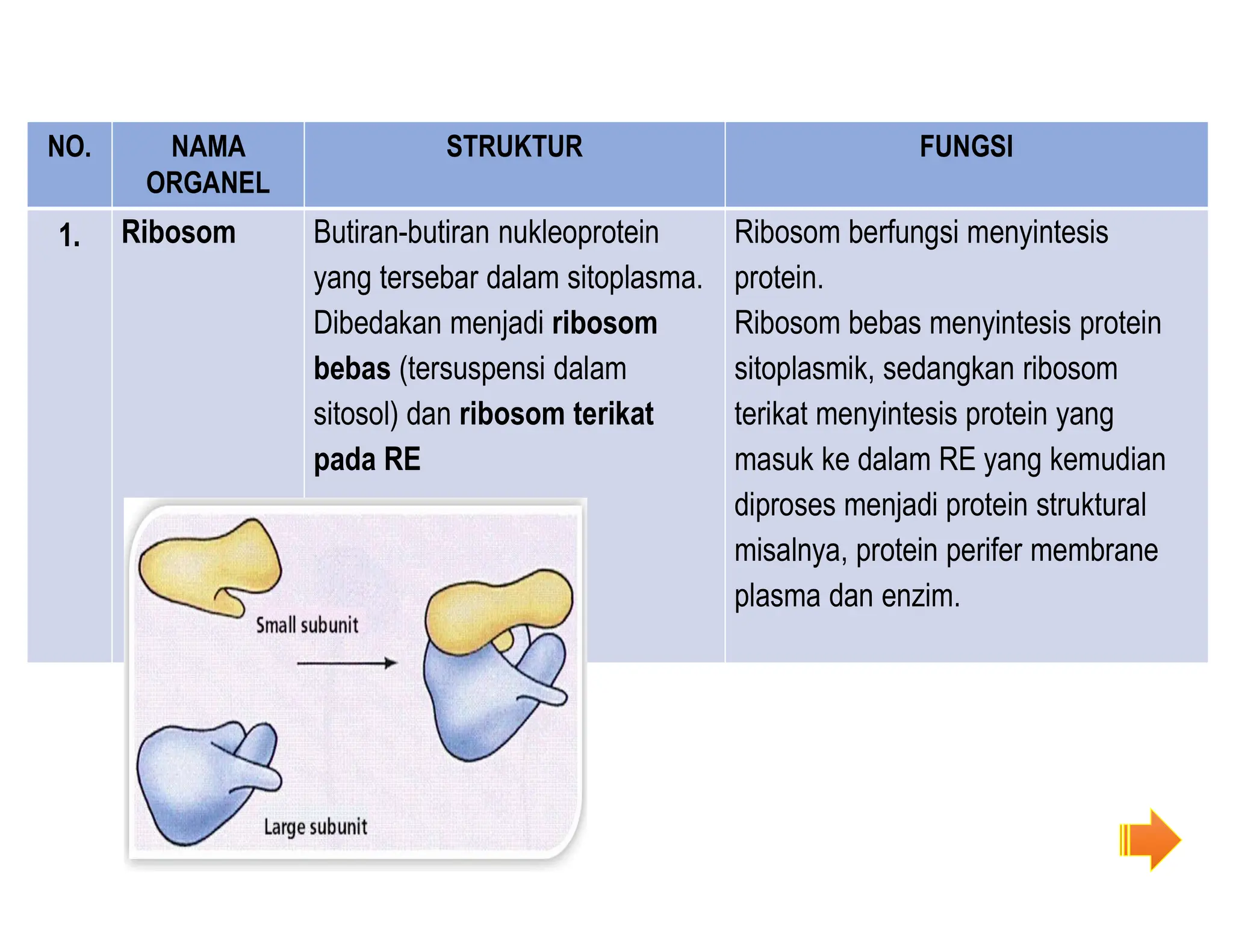 Biologi Molekuler sel, struktur, fungsi dan materi | PDF