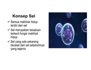 Biologi Molekuler sel, struktur, fungsi dan materi | PDF