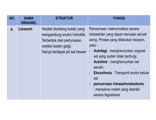 Biologi Molekuler sel, struktur, fungsi dan materi | PDF