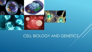 CELL BIOLOGY AND GENETICS - CELL PRO& EU.pptx
