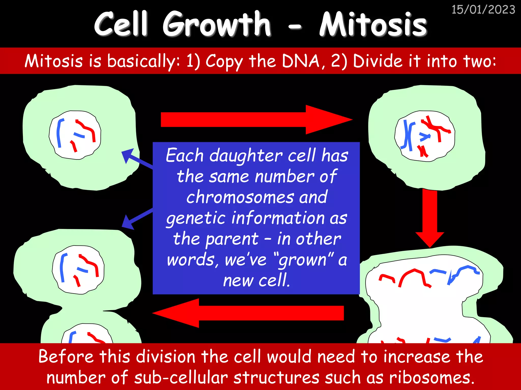 1 Cell Biology.pptx