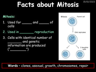 1 Cell Biology.pptx