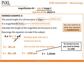 1 Cell Biology KnowIT.pdf