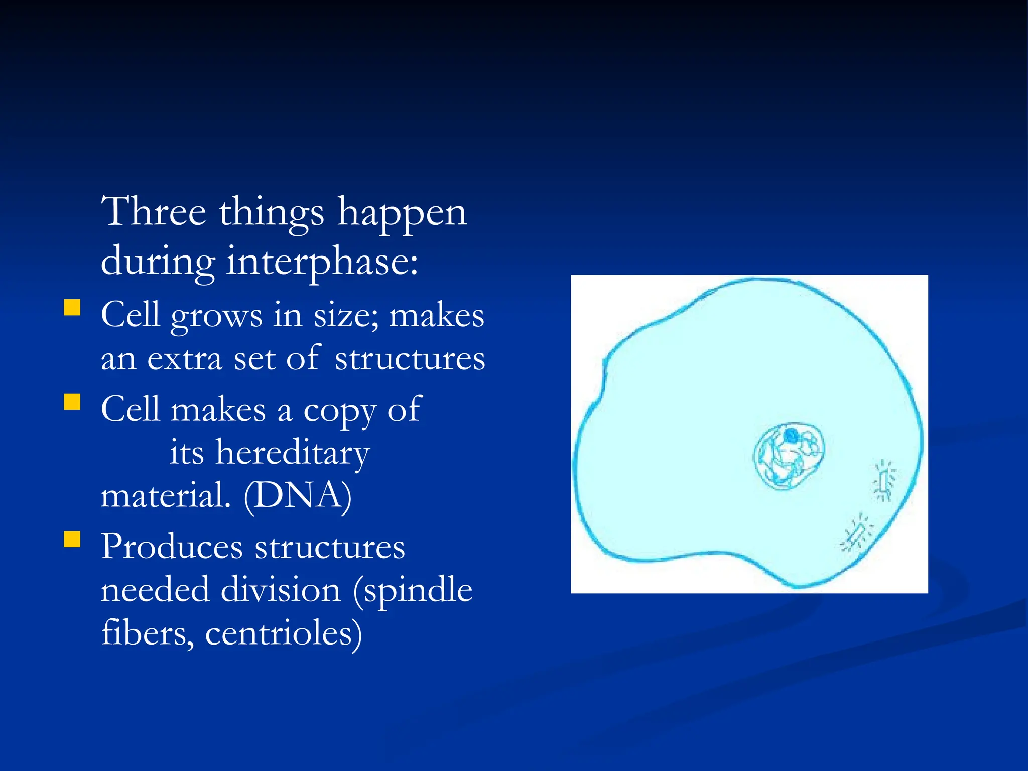 Meiosis and Mitosis - Cell Division/Cycle | PPTX
