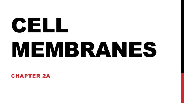 AS Biology - CELL MEMBRANES | PPT
