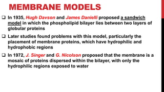 AS Biology - CELL MEMBRANES | PPTX