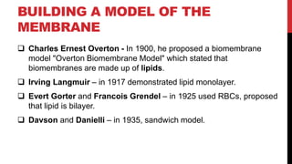 AS Biology - CELL MEMBRANES | PPTX