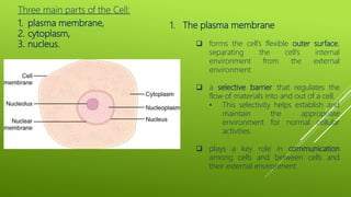 CELL PHYSIOLOGY | PPT