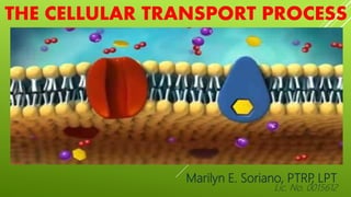 CELL TRANSPORT PROCESS | PPTX