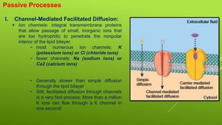 CELL TRANSPORT PROCESS | PPTX