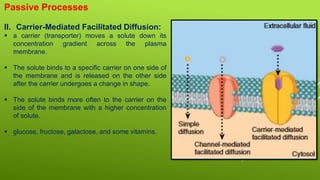 CELL TRANSPORT PROCESS | PPTX