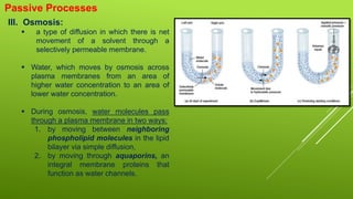 CELL TRANSPORT PROCESS | PPTX