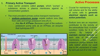 CELL TRANSPORT PROCESS | PPTX