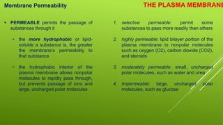 CELL TRANSPORT PROCESS | PPTX