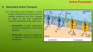 CELL TRANSPORT PROCESS | PPTX