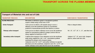 CELL TRANSPORT PROCESS | PPT