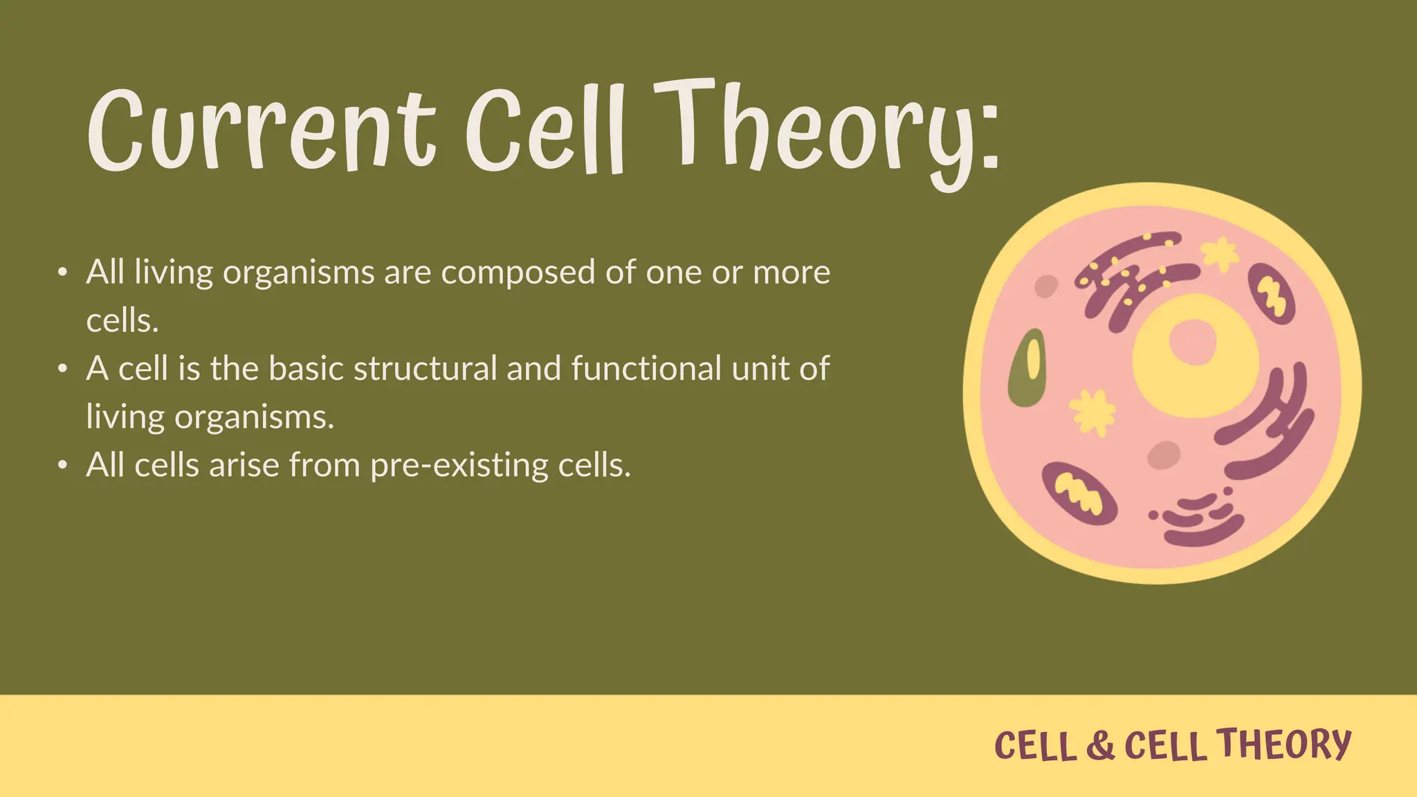 1 Cells and Cell theory.pdf
