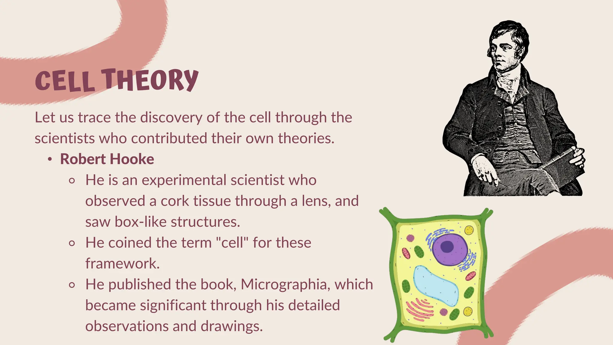 1 Cells and Cell theory.pdf