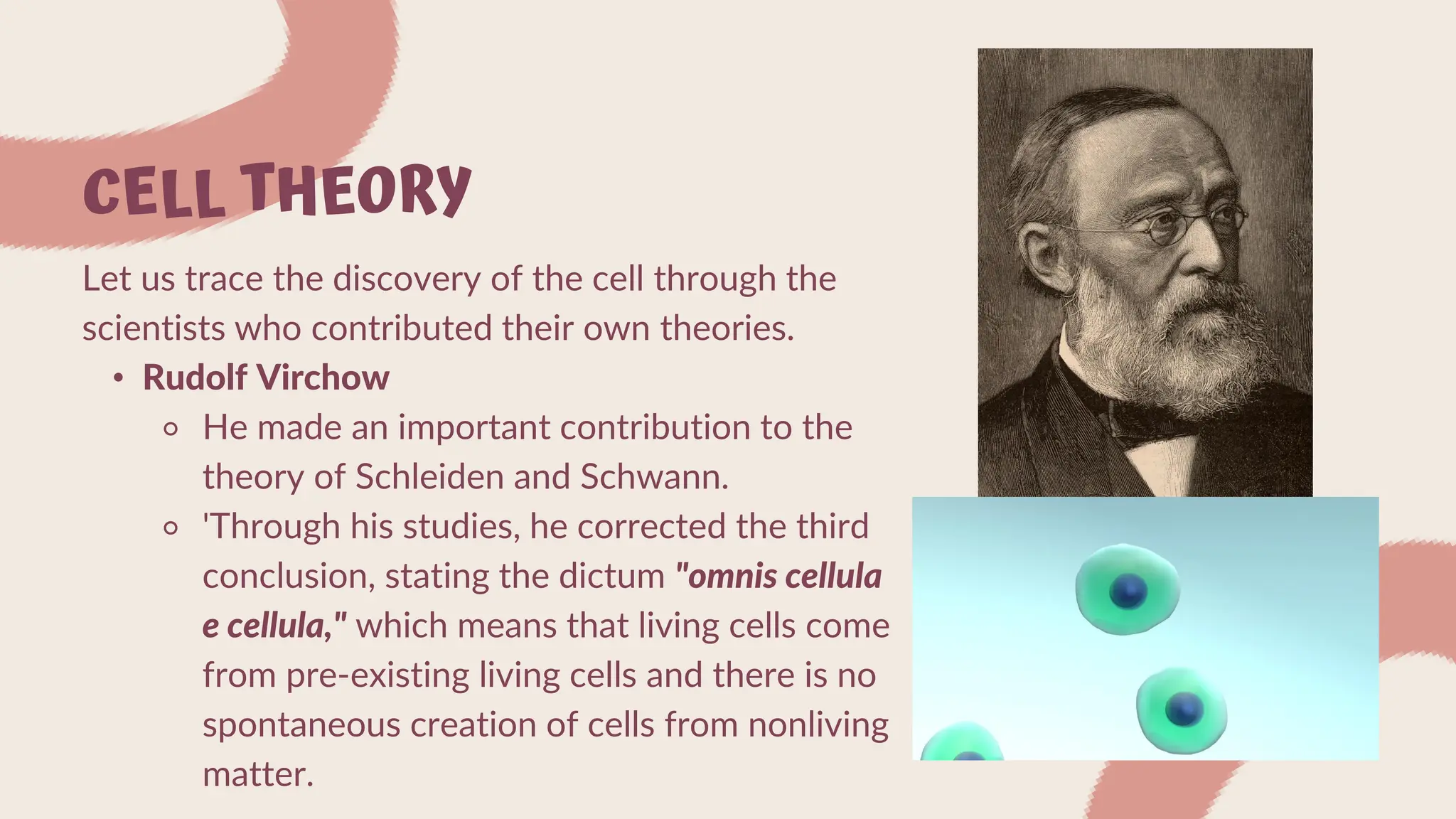 1 Cells and Cell theory.pdf